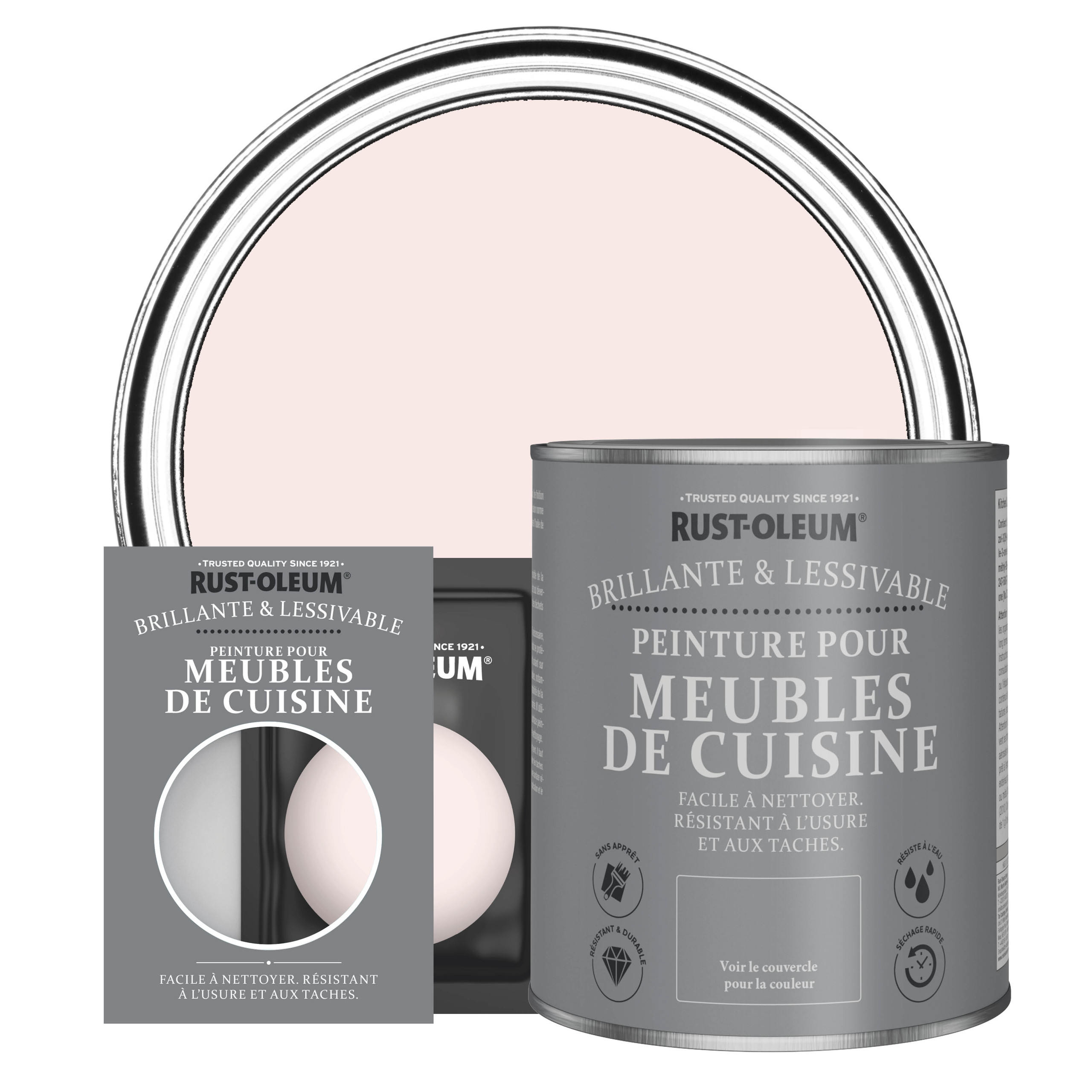 Peinture Jardin Brillante Rose de Chine - Finition Rose Brillante ...