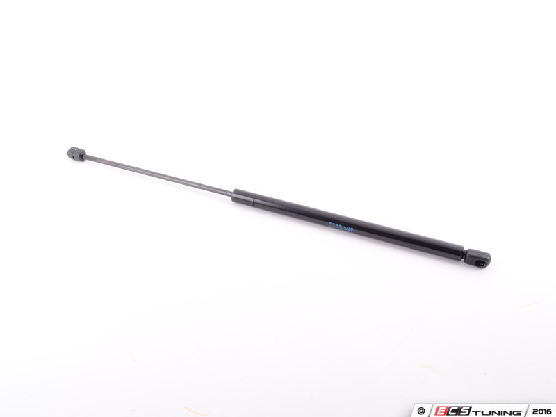 Hood And Hatch Strut Kit | ES2952392