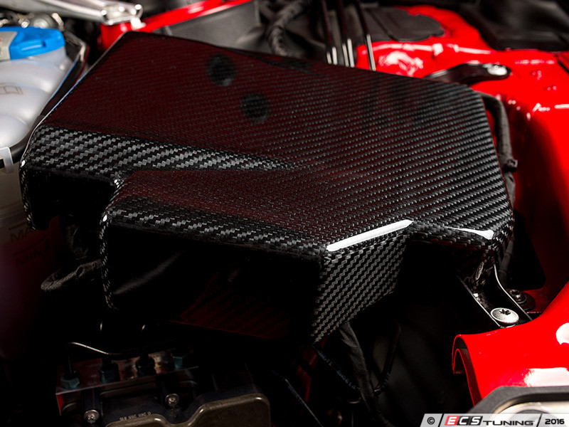 Carbon Fiber ECU Cover