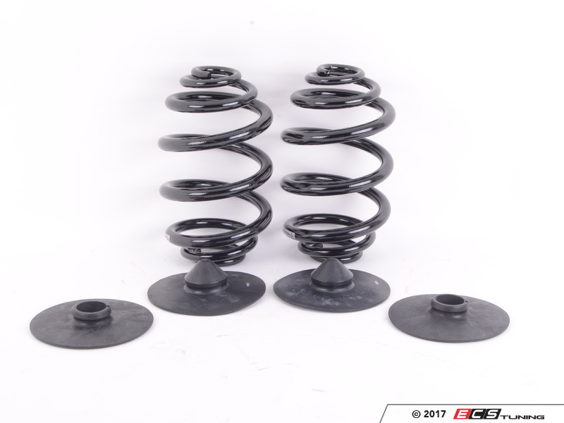 Rear Spring Replacement Kit