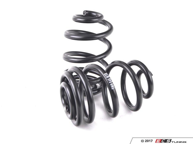 Stock Replacement E46 M3 Rear Spring - Coupe - Priced Each
