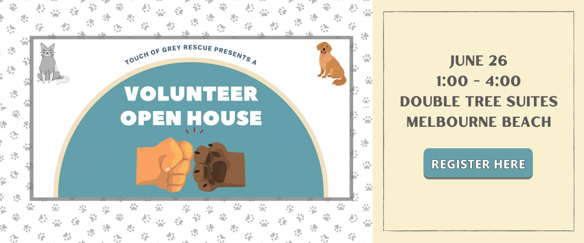 Volunteer Open House