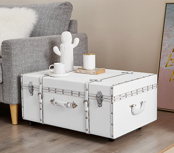 Cute Dorm Storage Ideas - Texture Brand Trunk with Wheels and Lock ...