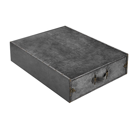 Indestructo Airline Durable Trunk - ATA Approved Travel Case Flying ...