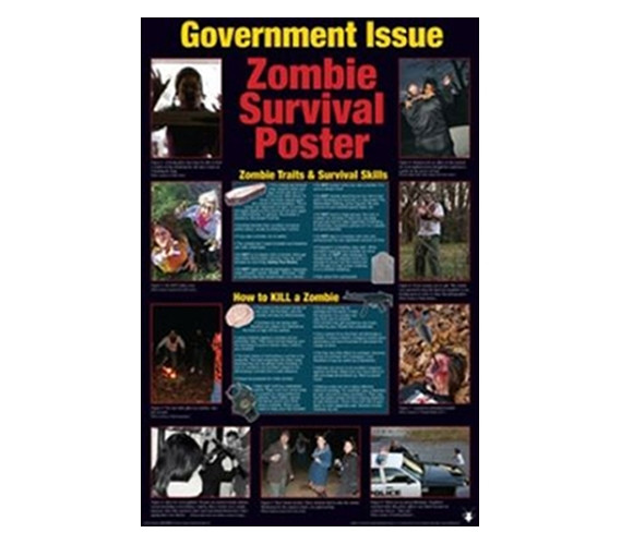 Zombie Survival Guide Poster