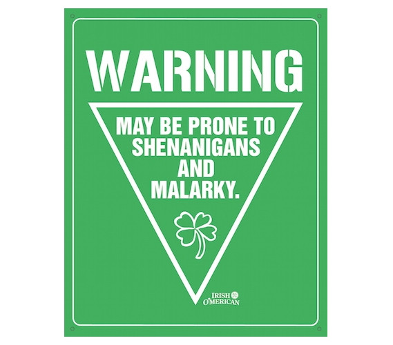 Shenanigans And Malarky - Irish Tin Sign Decor Dorm Living Decorations ...