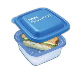 Sandwich Chiller Container - A Useful College Item for Healthy Students