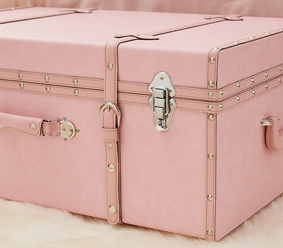 The Texture® Dorm College Trunk - Baby Pink Dorm Underbed Storage ...