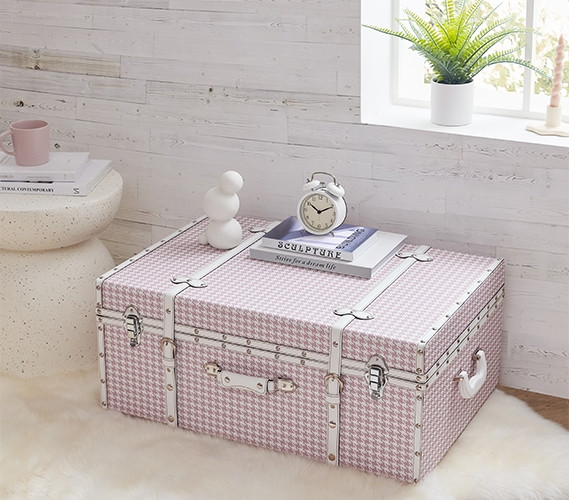 The Texture® Dorm College Trunk - Baby Pink Dorm Underbed Storage ...