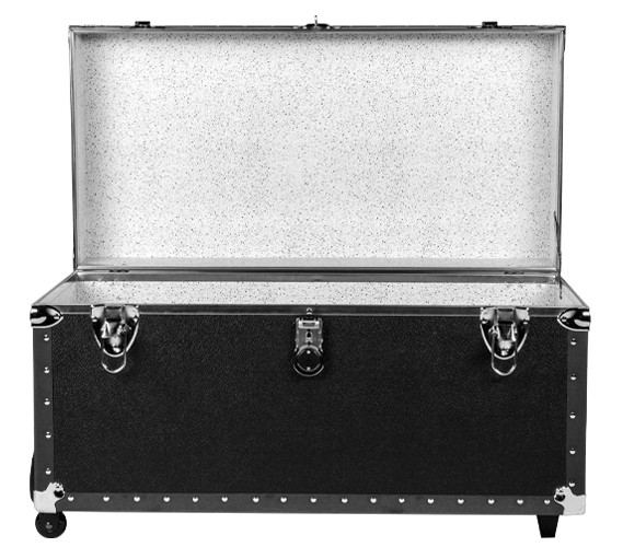 Indestructo Airline Durable Trunk - ATA Approved Travel Case Flying ...