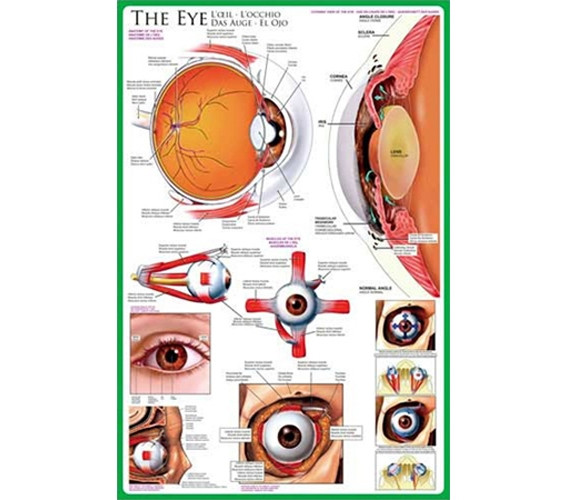Dorm Decor - The EYE Poster for College Students