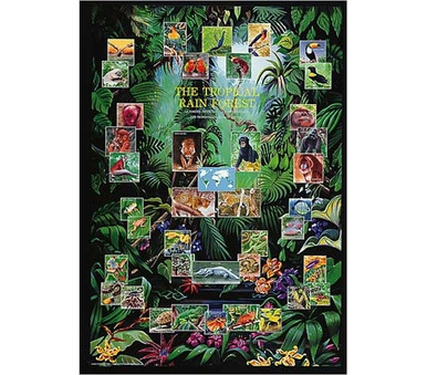 Tropical Rain Forest Animal Collage Decor Idea - Cool Dorm Poster For ...