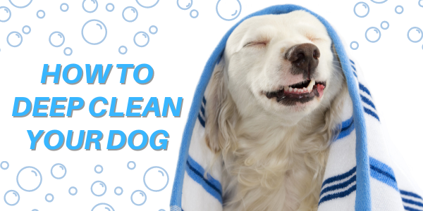 A Step-by-Step Guide to Deep Cleaning Your Dog - Cherrybrook Pet Supplies