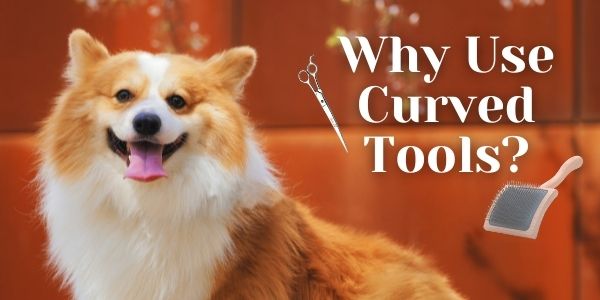 The Benefits of Curved Tools - Cherrybrook Pet Supplies