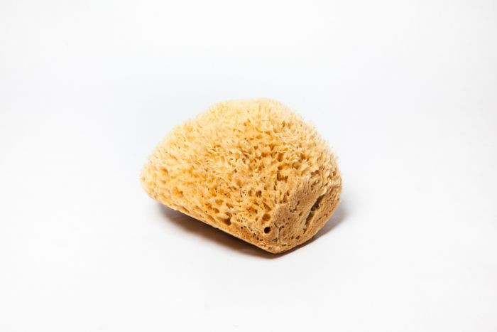 Sea Wool Sponge