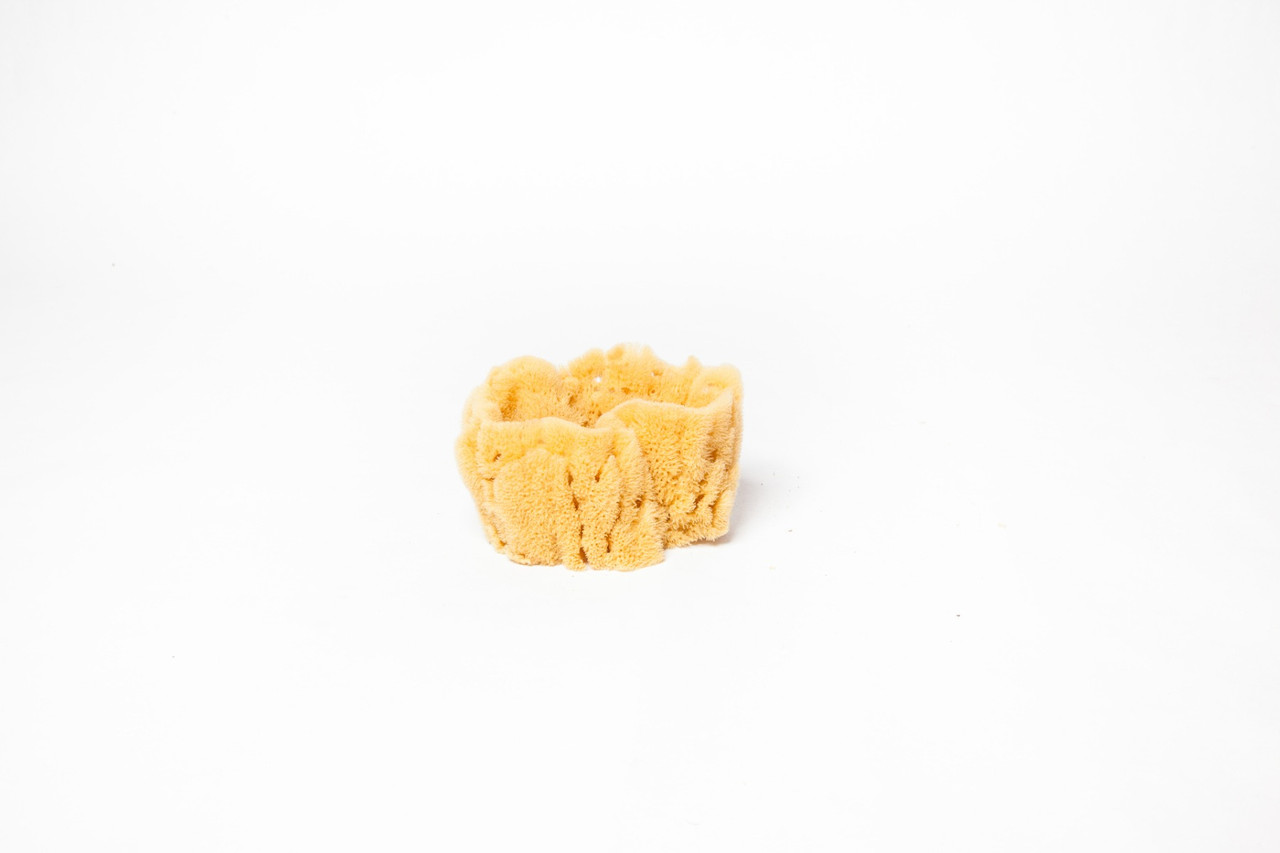 Vase Sponges - Aphrodite Natural Bath Essentials