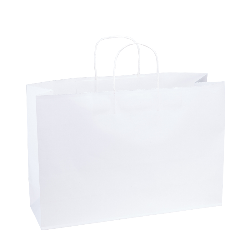 Paper Bags, Retail Bags, Bulk Brown Paper Bags I Surestyle