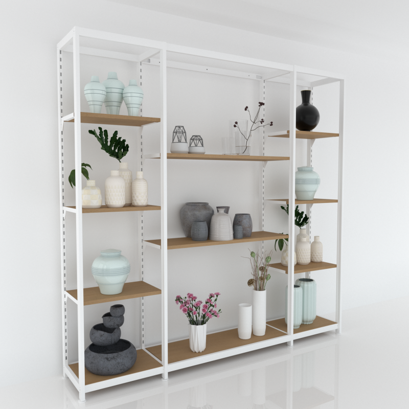flexiPLUS Inspiration 4 - Surestyle Limited