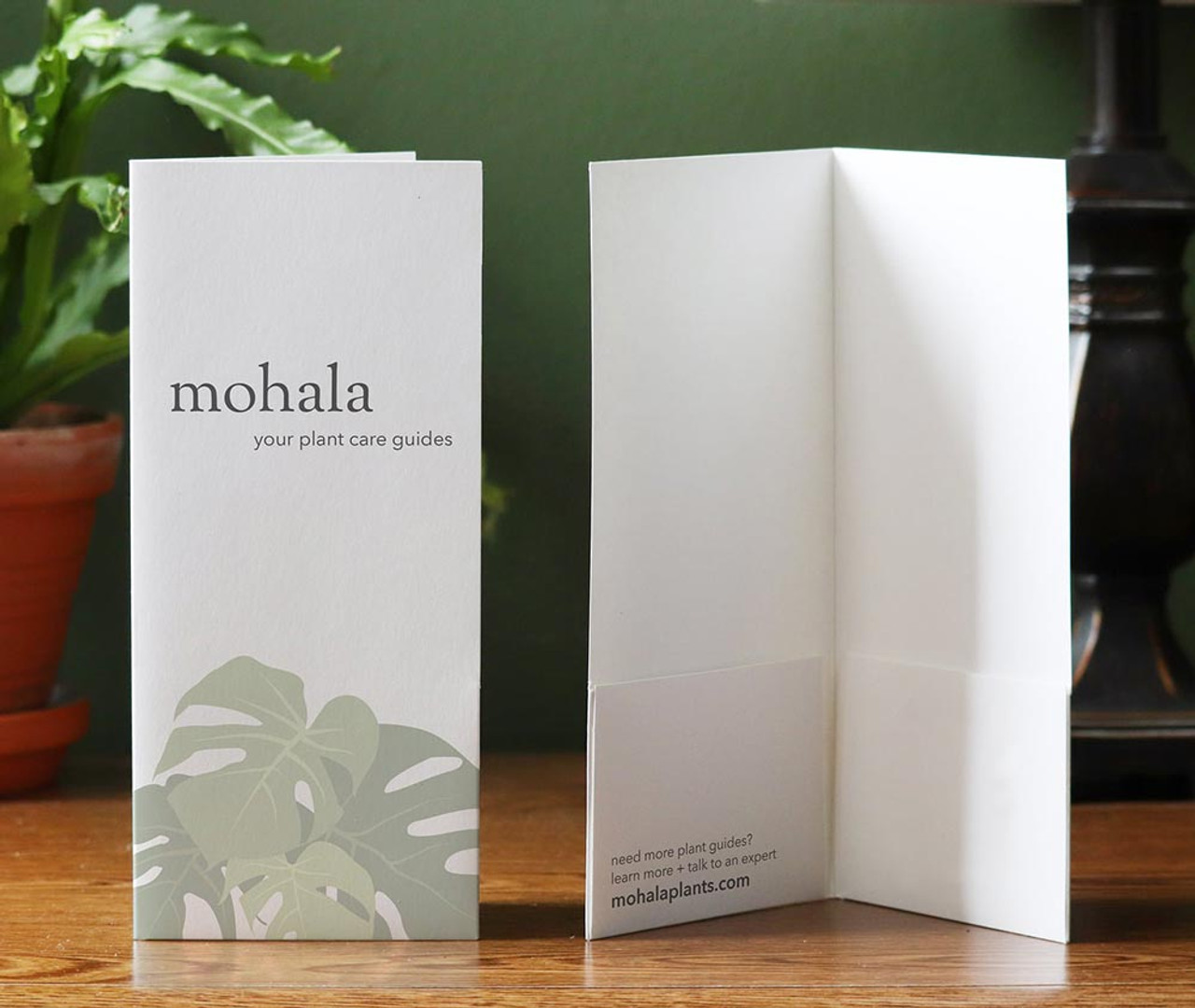 4x9 Custom Printed Presentation Folder 4x9 Custom Printed Presentation Folder