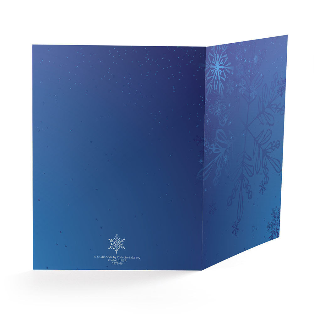 Blue Snowflakes Event Photo Folder for 4x6, 5x7, In Stock! Studio Style