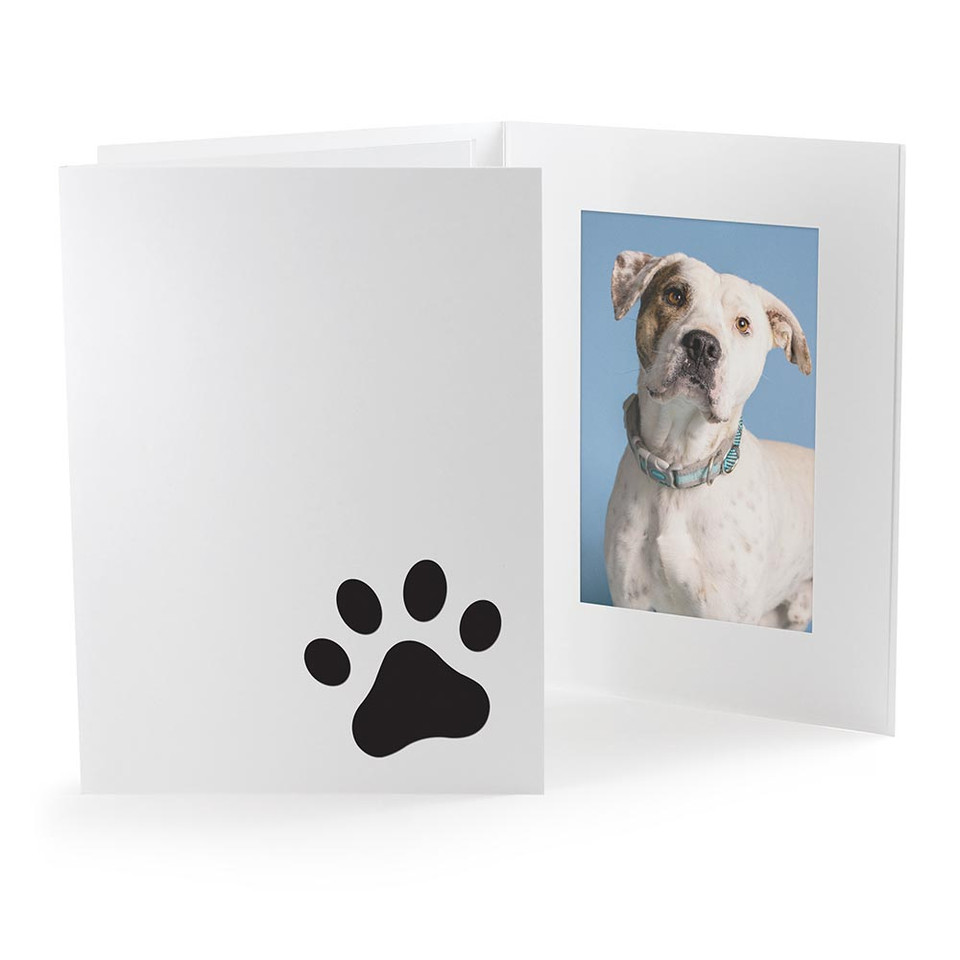 Paw Print 4x6 Photo Folders for Pet Photography | Studio Style