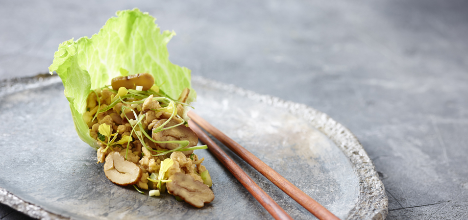 Salad Wraps with Chicken - Scanpan Australia