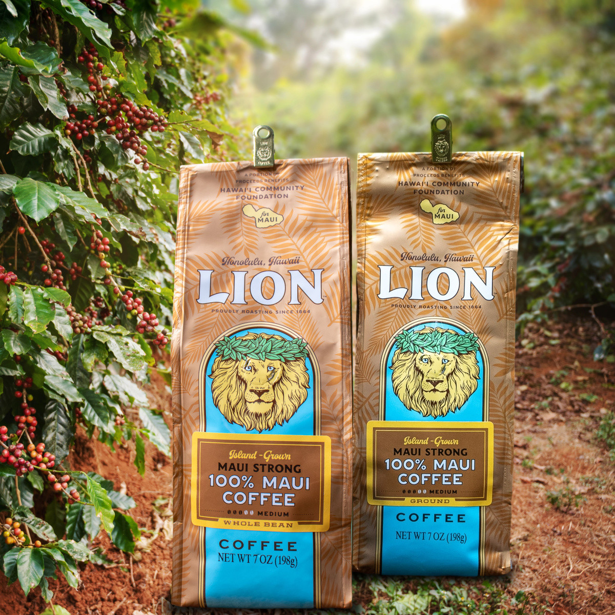 Lion 100% Maui Coffee - Hawaii Coffee Company