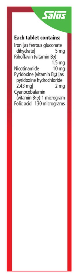 Shop Floradix Iron Plus Tablets 84 Pack