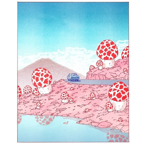 AFTER THE METEORITE PRINT BY LIAM COBB - Gosh! Comics