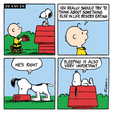 SNOOPY SLEEPING CARD - Gosh! Comics