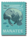 5851 - 2024 First-Class Forever Stamp - Save Manatees - Mystic Stamp ...