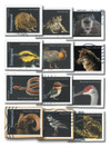 5799 - 2023 First-Class Forever Stamps - Endangered Species - Mystic ...