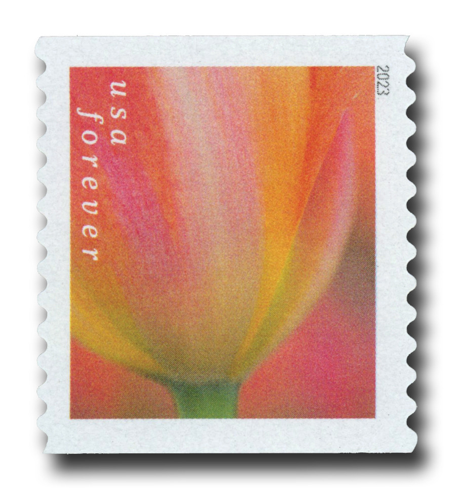 5772 - 2023 First-Class Forever Stamp - Tulip Blossoms: Dark Purple ...