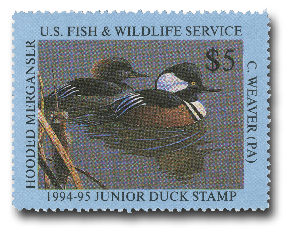 RW61 - 1994 $15.00 Federal Duck Stamp - Red-breasted Merganser - Mystic ...