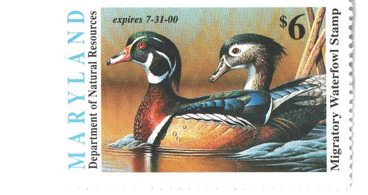 SDMD28 - 2001 Maryland State Duck Stamp - Mystic Stamp Company