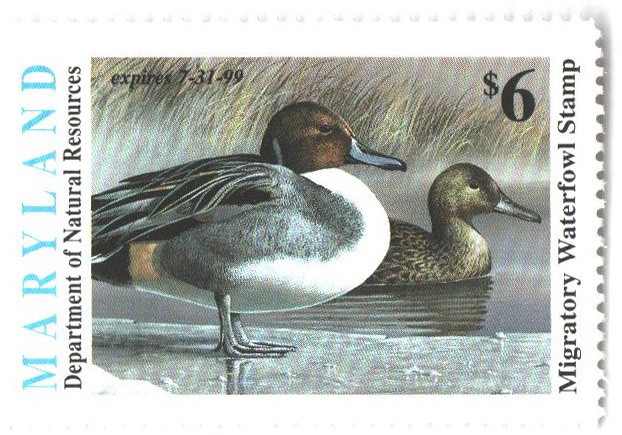 SDMD25 - 1998 Maryland State Duck Stamp - Mystic Stamp Company