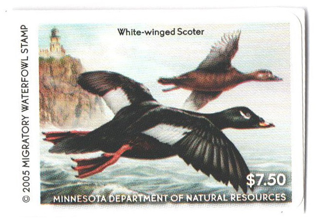 SDMN29 - 2005 Minnesota State Duck Stamp - Mystic Stamp Company