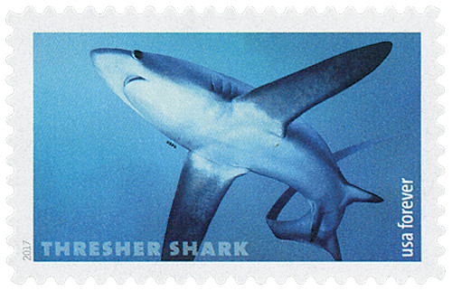 5225 - 2017 First-Class Forever Stamp - Sharks: Thresher Shark - Mystic ...