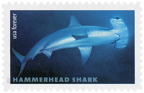 5226 - 2017 First-Class Forever Stamp - Sharks: Hammerhead Shark ...