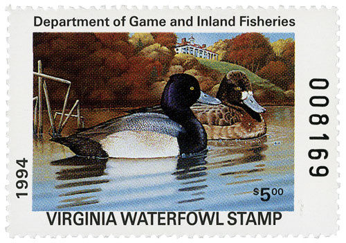SDVA7 - 1994 Virginia State Duck Stamp - Mystic Stamp Company