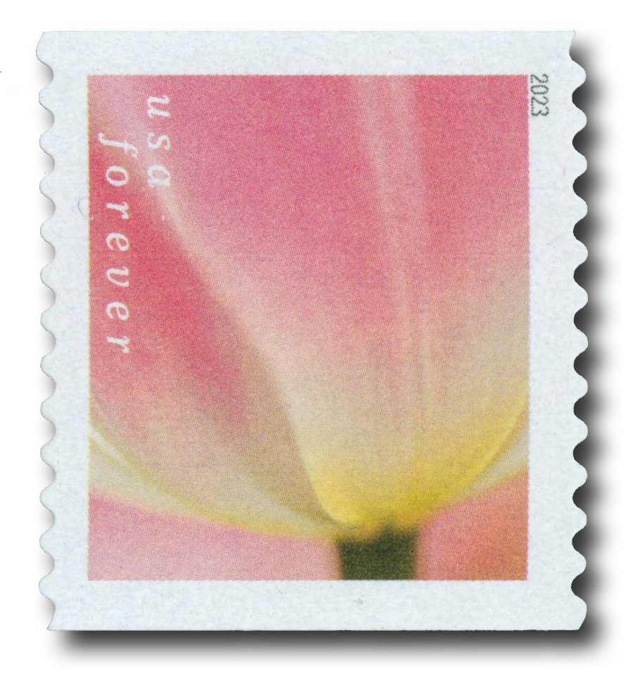 5769 - 2023 First-Class Forever Stamp - Tulip Blossoms: Pink and Orange ...