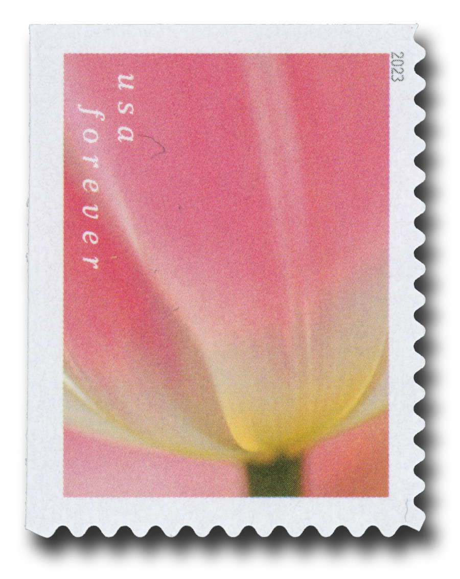 5777-86 - 2023 First-Class Forever Stamps - Tulip Blossoms (booklet ...