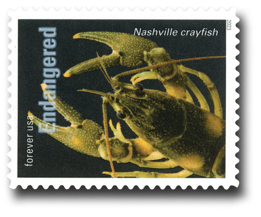 5799 - 2023 First-Class Forever Stamps - Endangered Species - Mystic ...