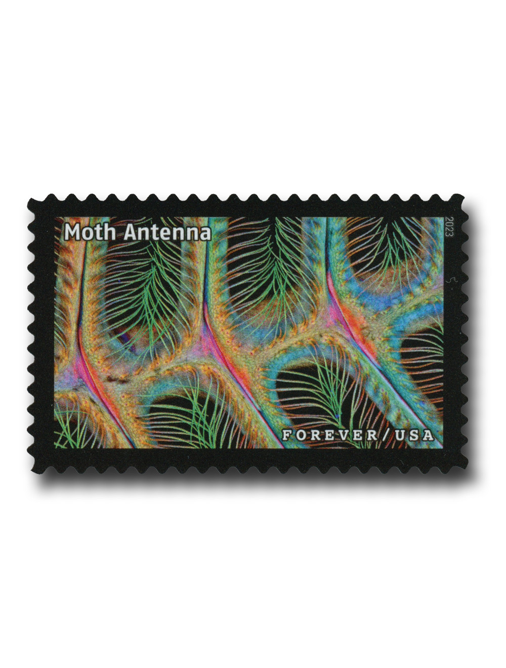 5802a - 2023 First-Class Forever Stamp - Life Magnified: Red Blood ...