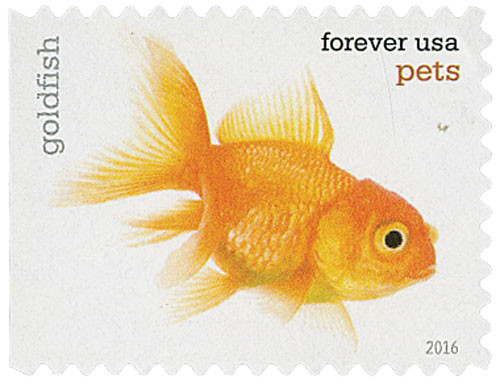 5112 - 2016 First-Class Forever Stamp - Pets: Rabbits - Mystic Stamp ...