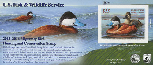 RW8 - 1941 $1.00 Federal Duck Stamp - Ruddy Ducks - Mystic Stamp Company