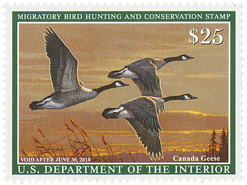 RW84 - 2017 $25 Federal Duck Stamp - Canada Geese Hunting Permit ...