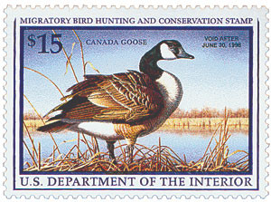 RW63 - 1996 $15.00 Federal Duck Stamp - Surf Scoters - Mystic Stamp Company