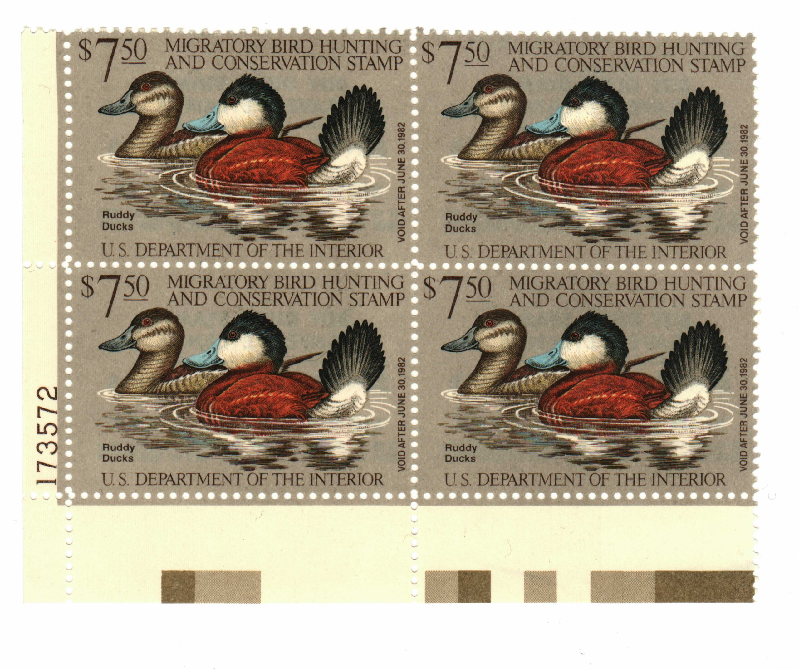 RW8 - 1941 $1.00 Federal Duck Stamp - Ruddy Ducks - Mystic Stamp Company