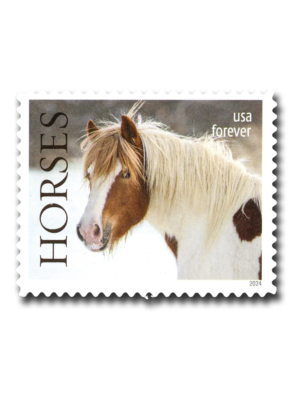 5891 - 2024 First-Class Forever Stamp - Horses: Horse with Brown Spots ...